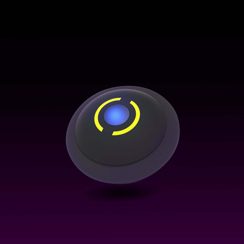 Brook Wingman XB2 for Xbox 360 and Xbox Original – BrookGaming